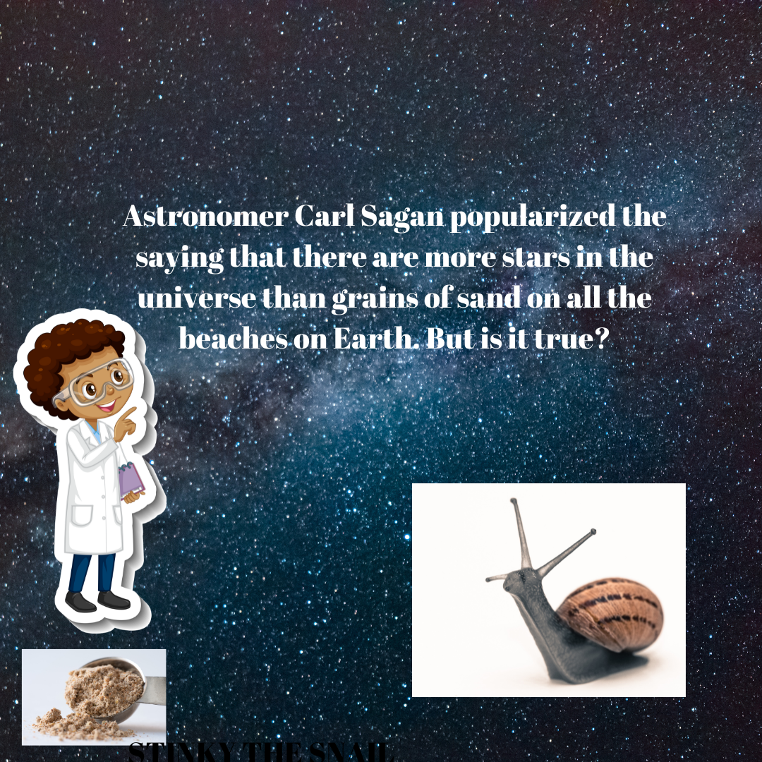STINKY THE SNAIL – Children's Spot
