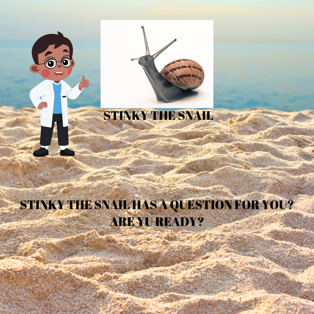 STINKY THE SNAIL – Children's Spot